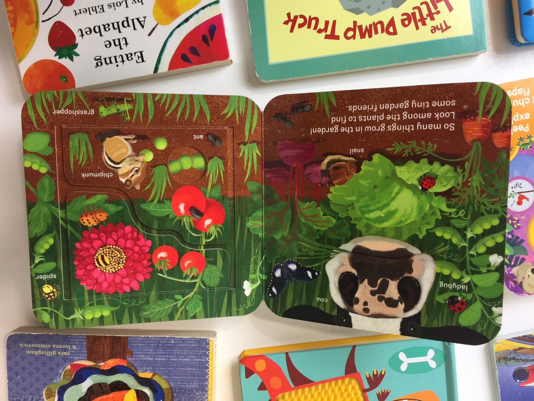 BUNDLE Board Books — GoodBuy Gear