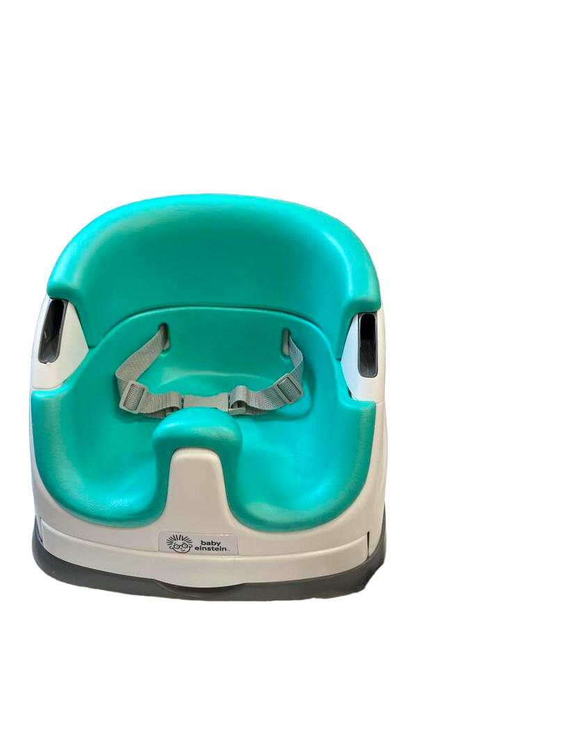 Baby Einstein Dine And Discover Booster Seat — GoodBuy Gear