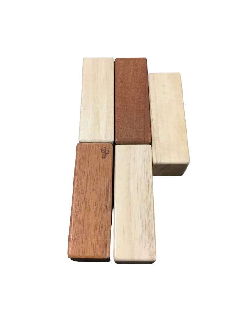 Tegu Magnetic Wood Blocks