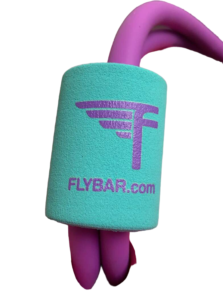 Flybar My First Flybar Pogo Stick, Pink