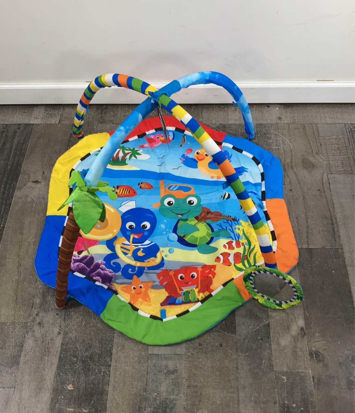 Baby Einstein Activity Gym, Ocean Adventure — GoodBuy Gear