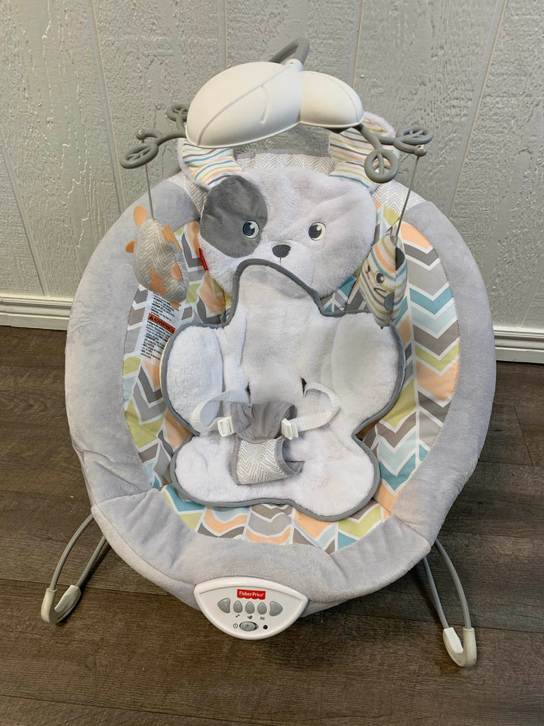 Fisher Price Deluxe Bouncer