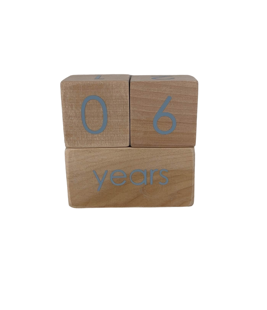 Modern Blocks Milestone Block Set