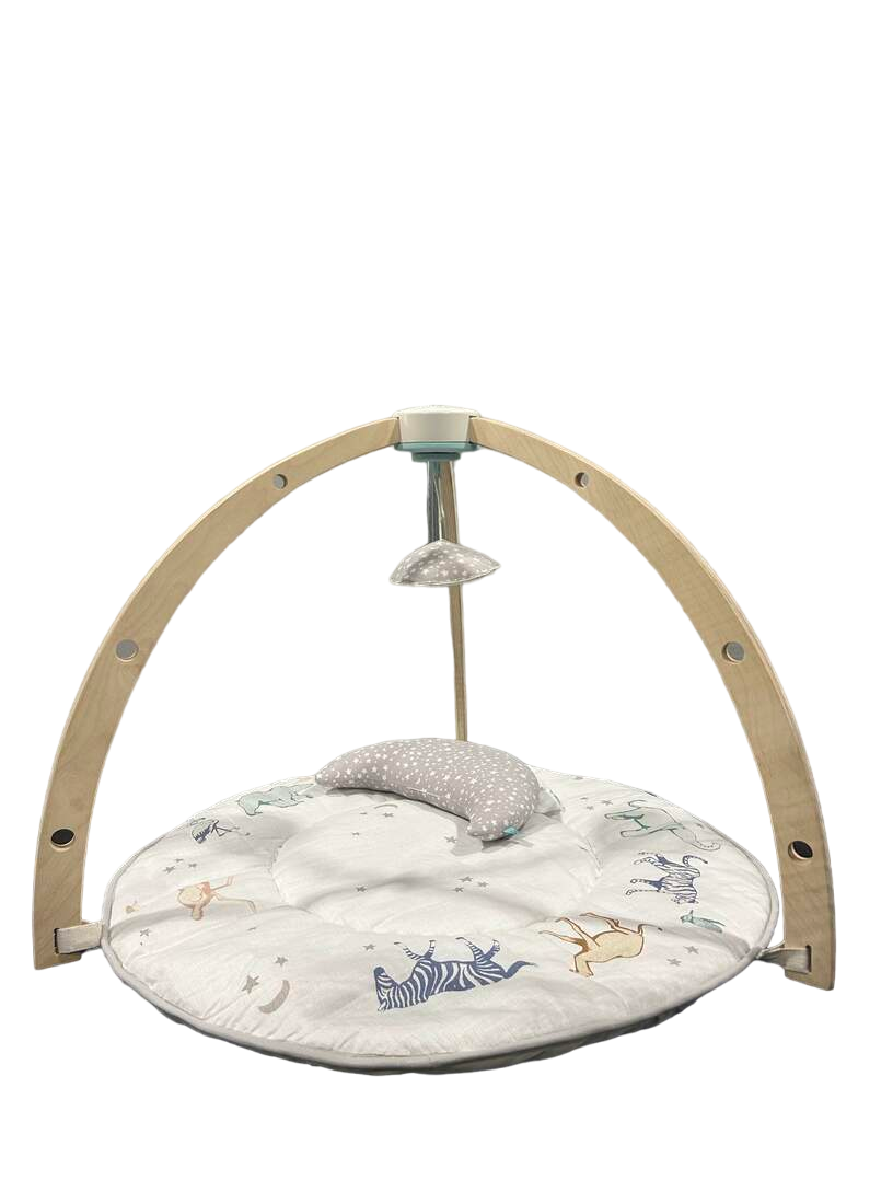 Aden + Anais Play + Discover Baby Activity Gym, Rising Star — GoodBuy Gear