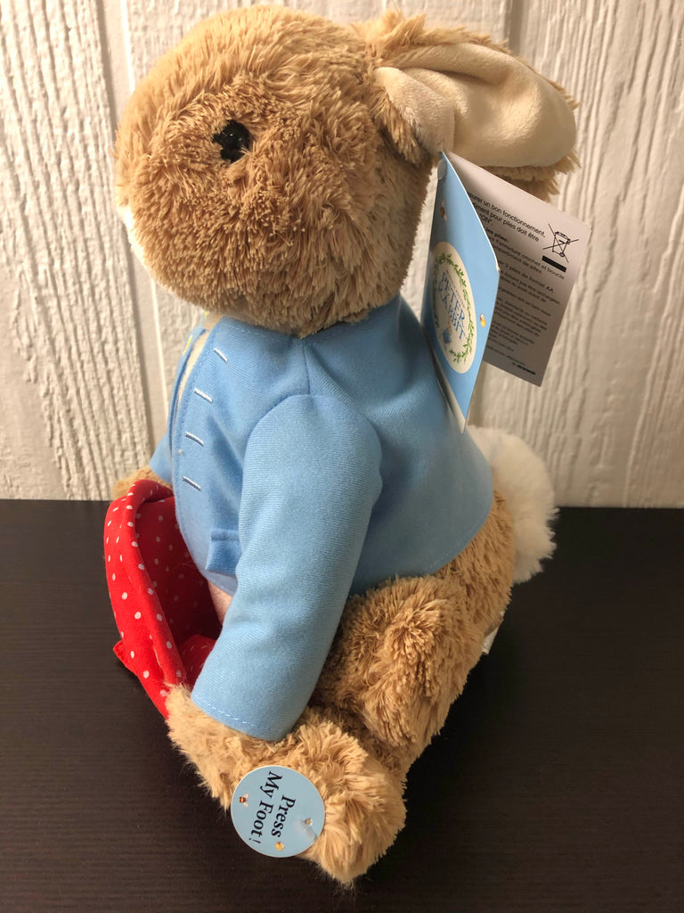 Gund Peter Rabbit Peek-A-Boo